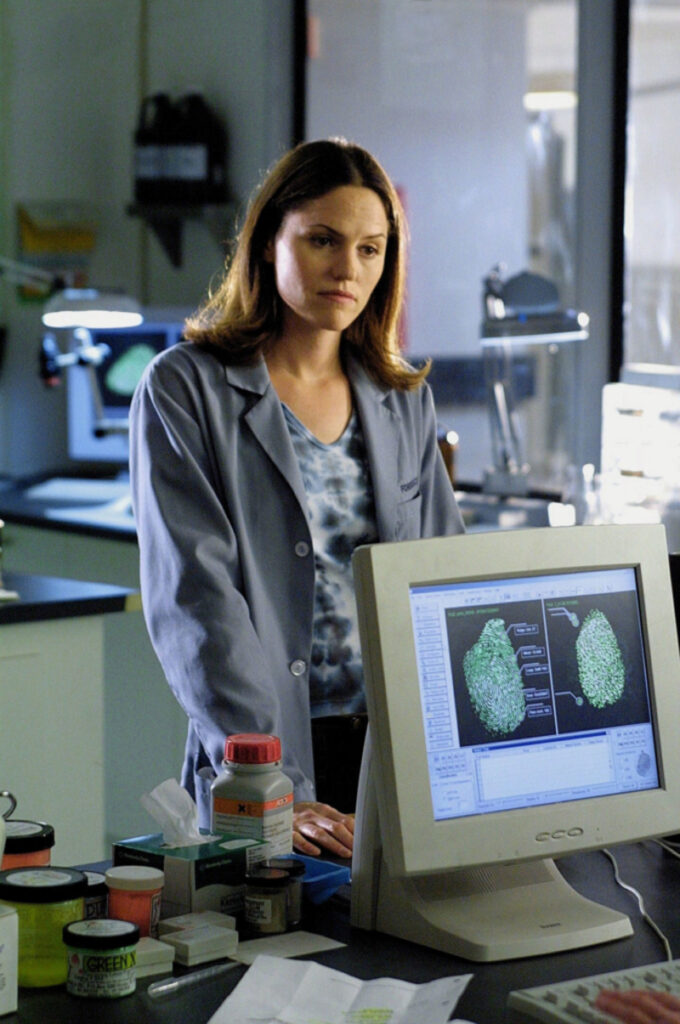 Where Are They Now? The Beloved Stars of CSI - PicTellMe