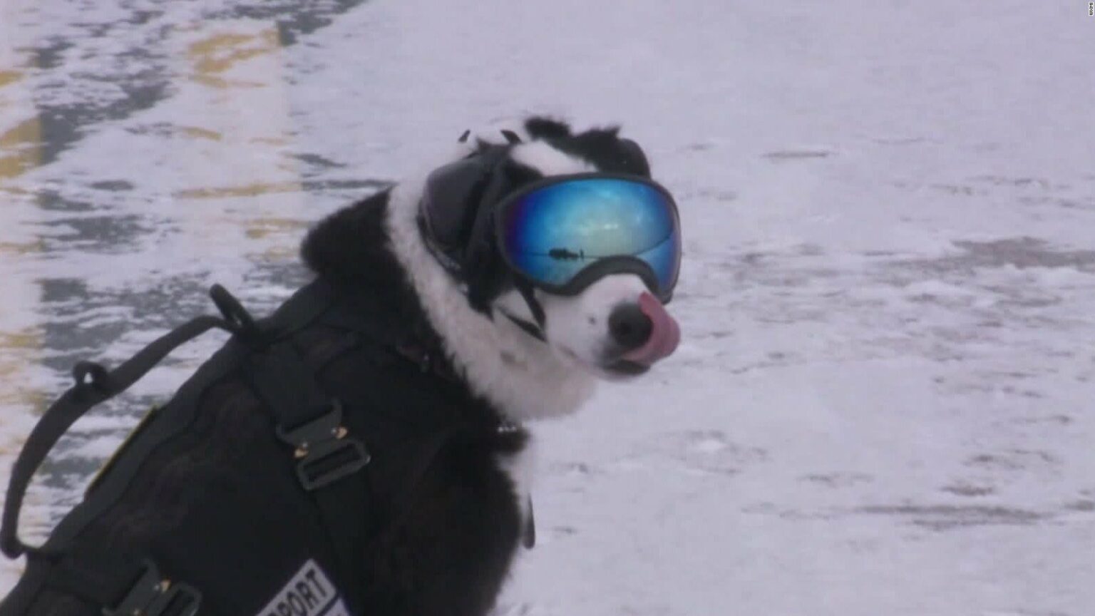 Piper: Clearing The Runway So You Can Travel - PicTellMe