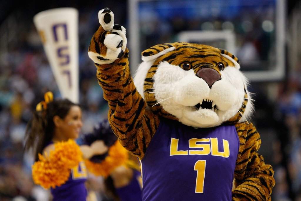 Popular College Animal Mascots in the United States - Pictellme
